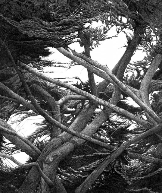 Nancy Kolliner | Artist Portfolio Gallery